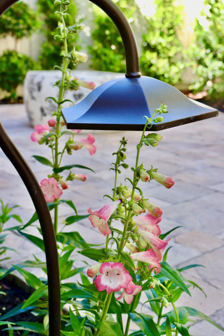 The Flowers In My Garden + Sources | Kristy Wicks.20 - KristyWicks.com