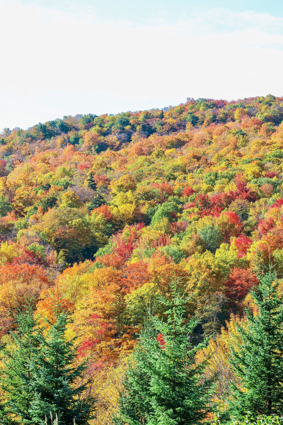 Vermont Fall Travel Guide | Fall Foliage, Hotels & More - KristyWicks.com