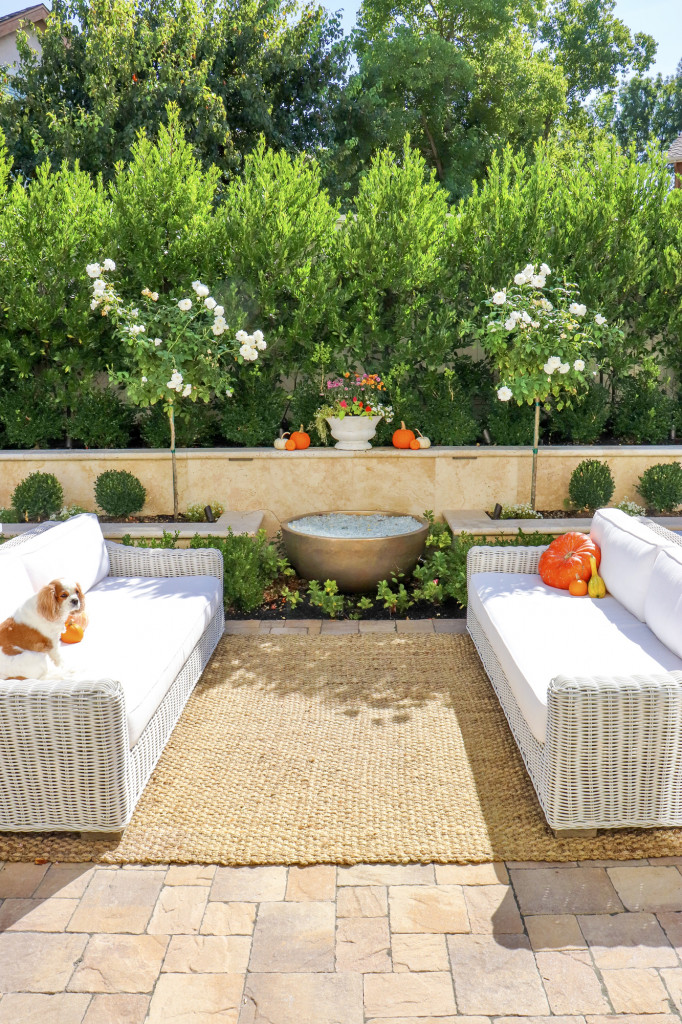 Best Neutral Rugs & Decor for Fall and Year-Round Use - KristyWicks.com