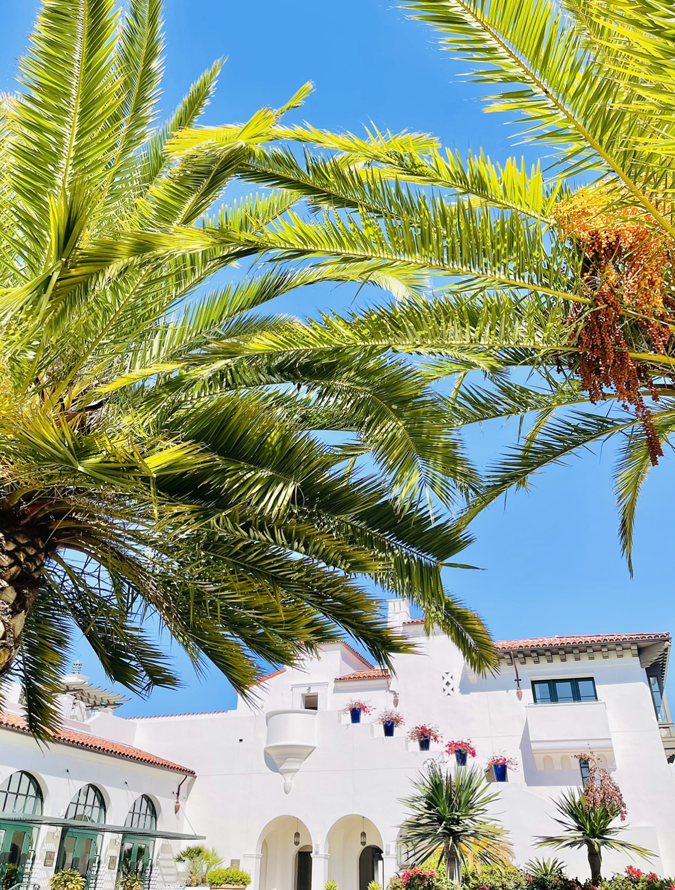 My Favorite Santa Barbara Restaurants - KristyWicks.com